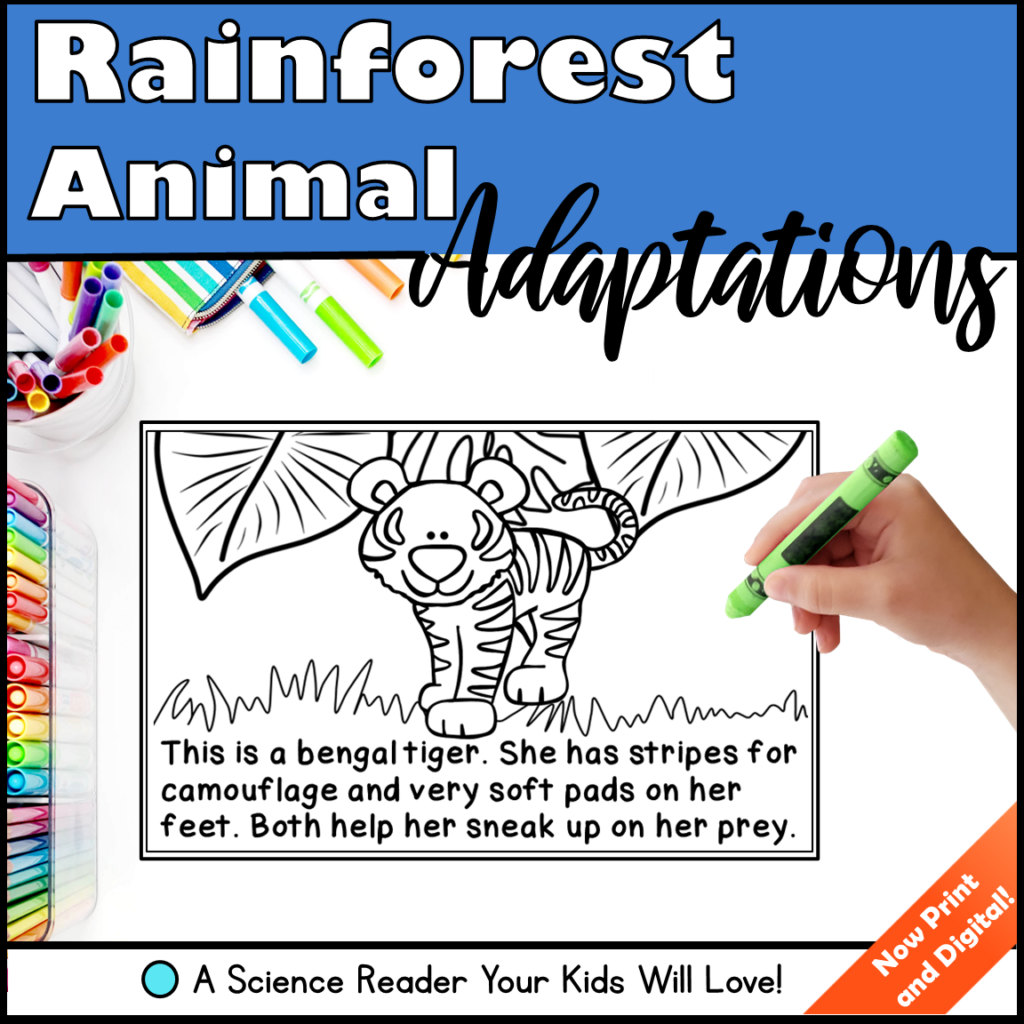 Rainforest Animal Adaptations Book Print and Digital | Made By Teachers