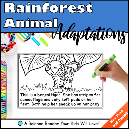 Rainforest Animal Adaptations Book Print and Digital | Made By Teachers