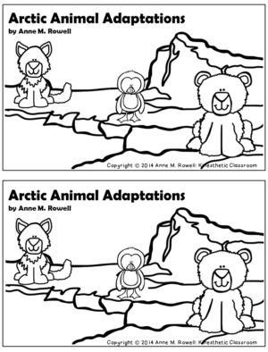 Arctic Animal Adaptations Science Reader Print and Digital - Made By ...