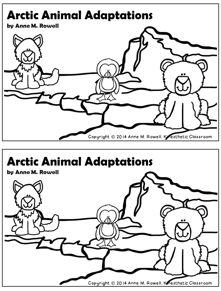 Arctic Animal Adaptations Science Reader Print and Digital | Made By ...