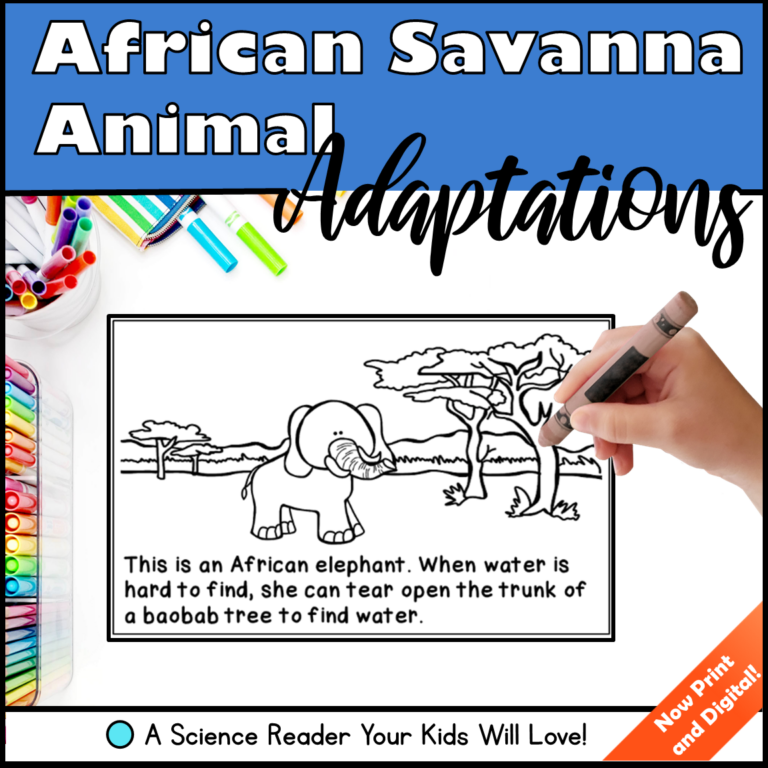 Animal Adaptations Science Books Bundle Print and Digital | Made By ...