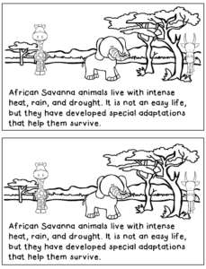 African Savanna Animal Adaptations Science Book Print and Digital ...