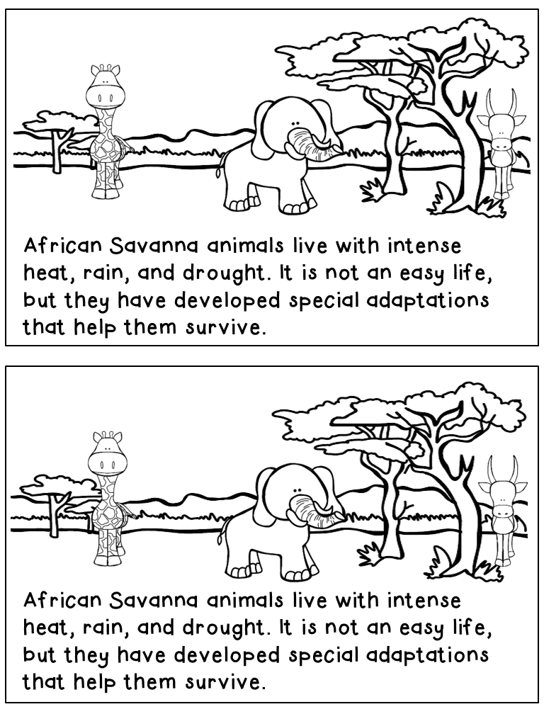 African Savanna Animal Adaptations Science Book Print and Digital ...
