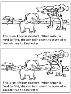 African Savanna Animal Adaptations Science Book Print and Digital ...
