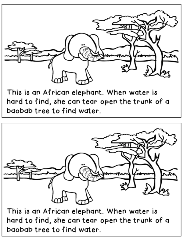African Savanna Animal Adaptations Science Book Print and Digital ...
