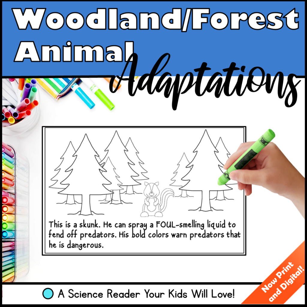 Woodland Forest Animal Adaptations Science Book Print and Digital ...