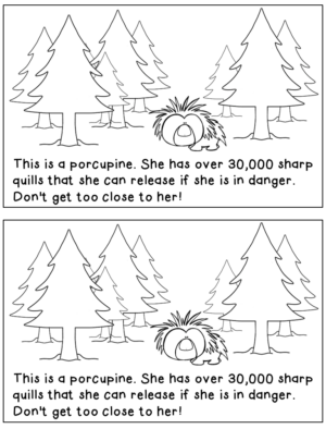 Woodland Forest Animal Adaptations Science Book Print and Digital ...