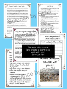 Interactive Student and Yarn OCEAN FOOD WEB ACTIVITY Marine Food Chains ...