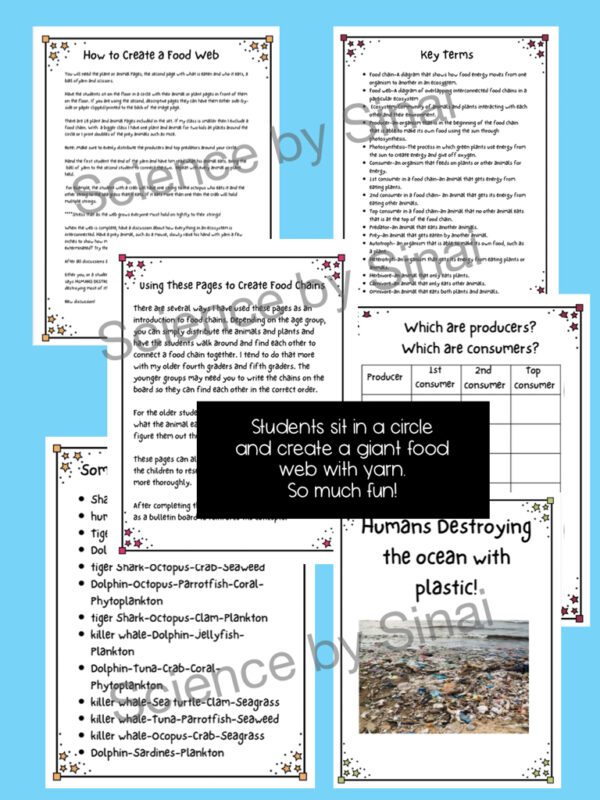 Interactive Student and Yarn OCEAN FOOD WEB ACTIVITY Marine Food Chains ...