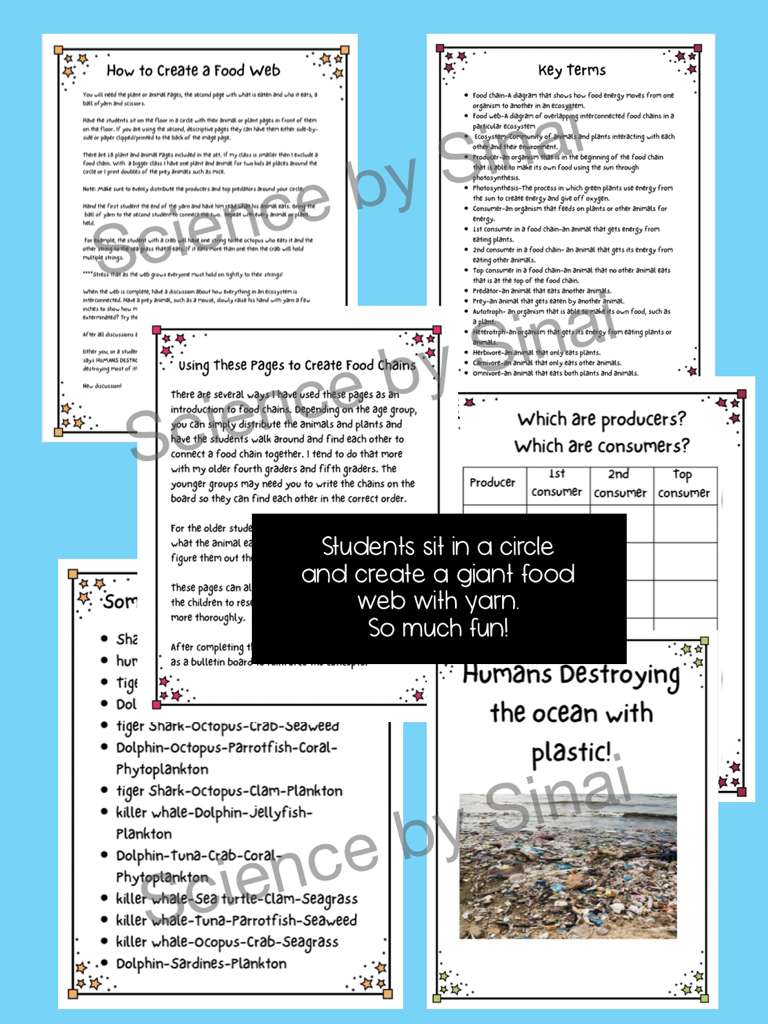 Interactive Student and Yarn OCEAN FOOD WEB ACTIVITY Marine Food Chains ...