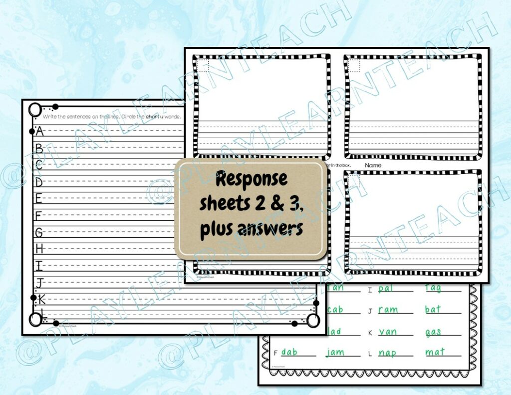 Reading Fluency Sentences CVC | Made By Teachers