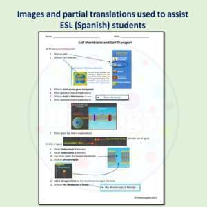 ESL Biology Cell Transport Bioman Simulation | Made By Teachers