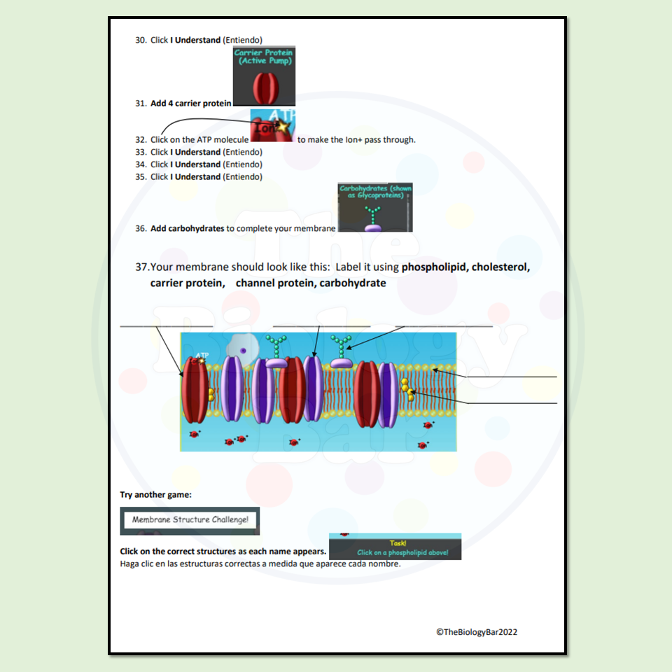 ESL Biology Cell Transport Bioman Simulation | Made By Teachers