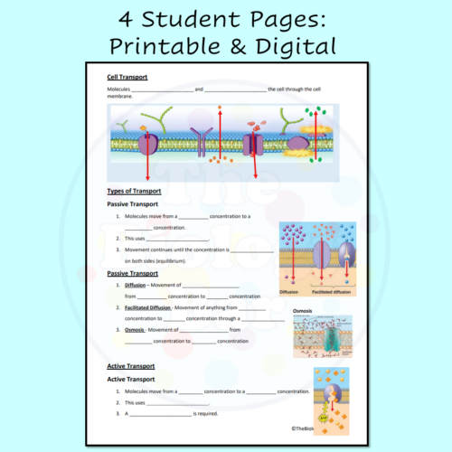 ESL Biology Cell Transport and Membrane Notes | Made By Teachers