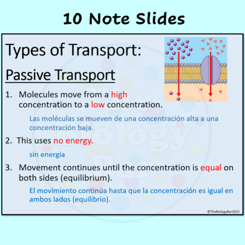 ESL Biology Cell Transport and Membrane Notes | Made By Teachers