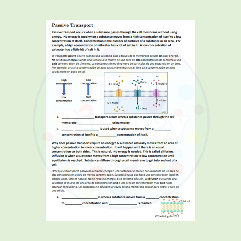 ESL Biology Cell Transport Reading - Made By Teachers