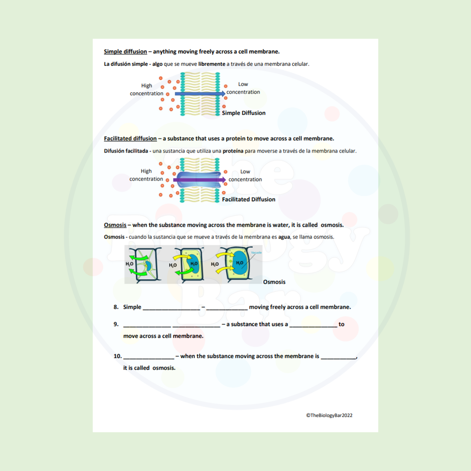 ESL Biology Cell Transport Reading | Made By Teachers