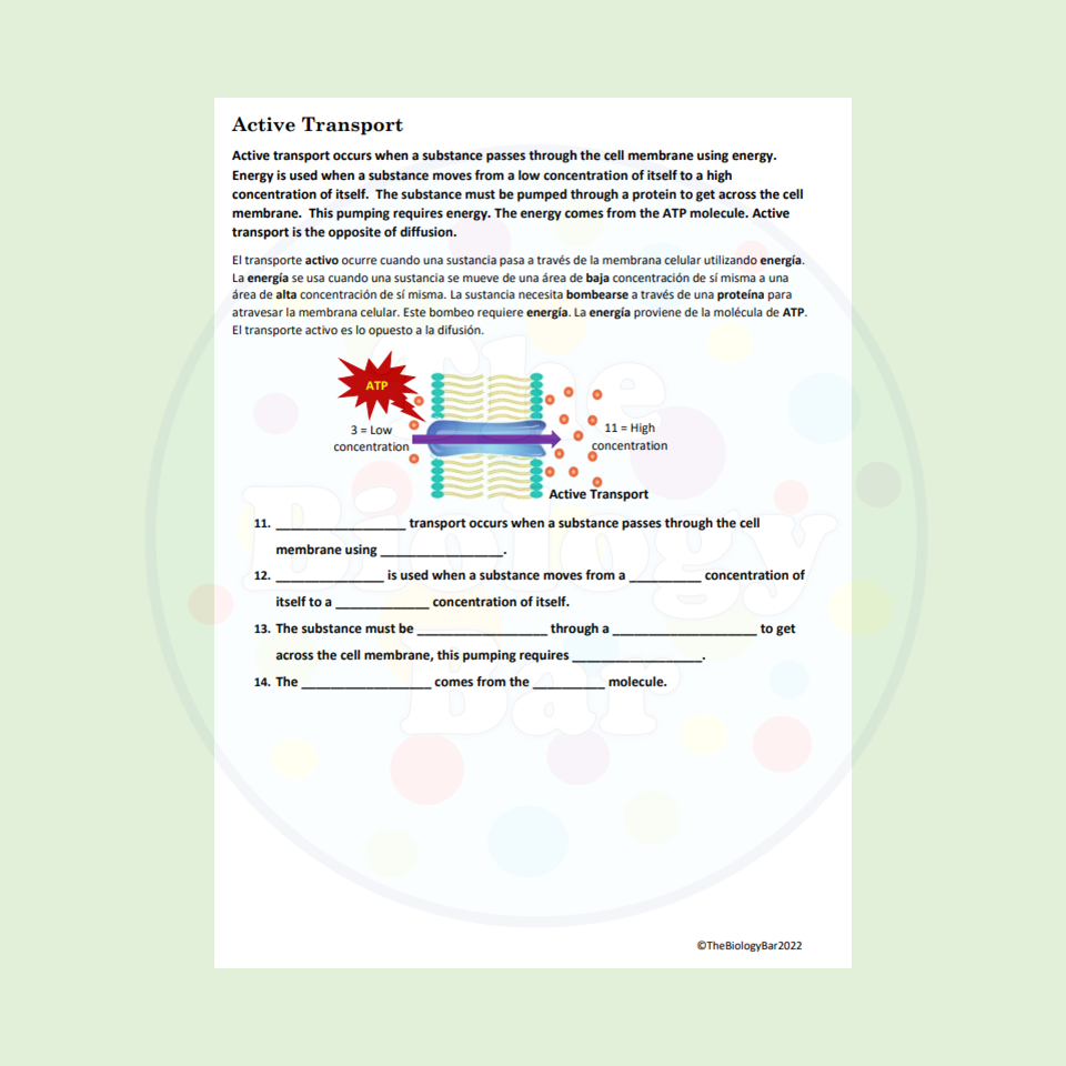 ESL Biology Cell Transport Reading | Made By Teachers
