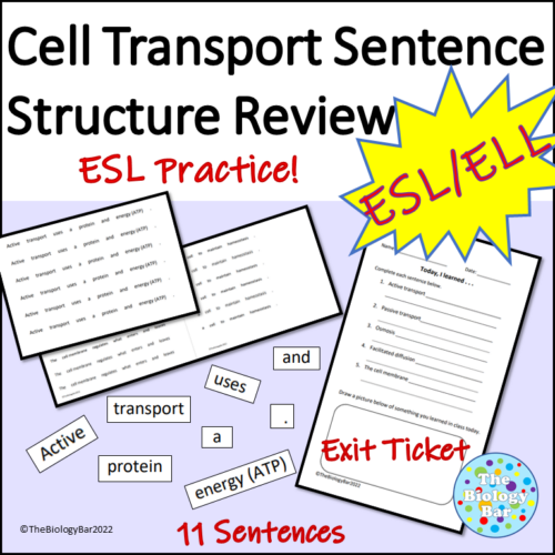 ESL Biology Cell Transport Sentence Review | Made By Teachers