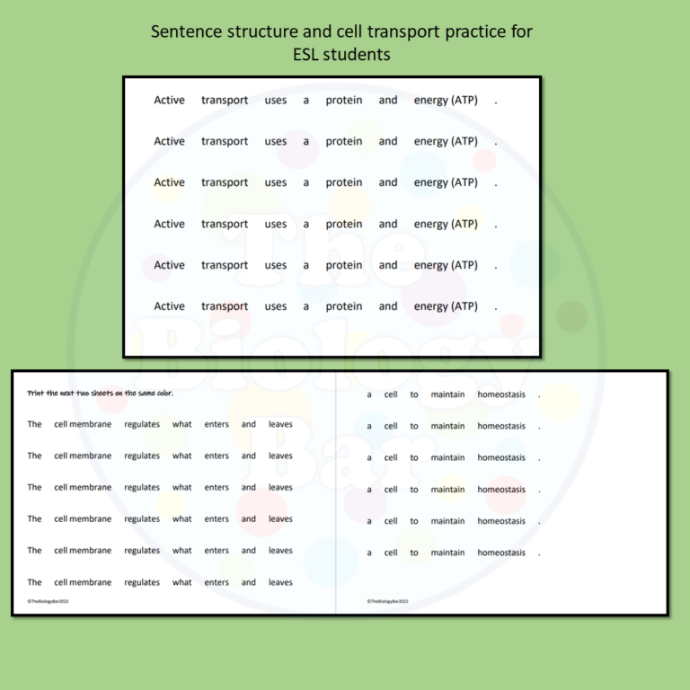ESL Biology Cell Transport Sentence Review - Made By Teachers