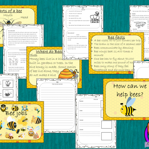 Bees Lesson | Made By Teachers