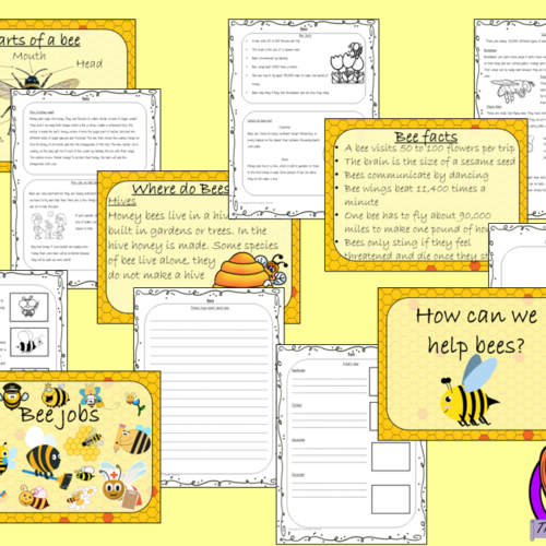 Bees Lesson | Made By Teachers