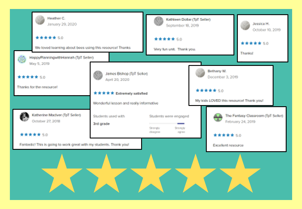 Bees Lesson | Made By Teachers