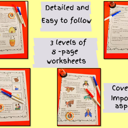 Bees Lesson | Made By Teachers