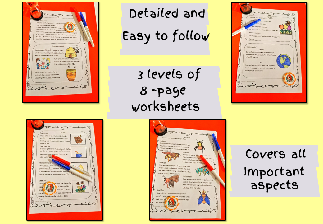 Bees Lesson | Made By Teachers