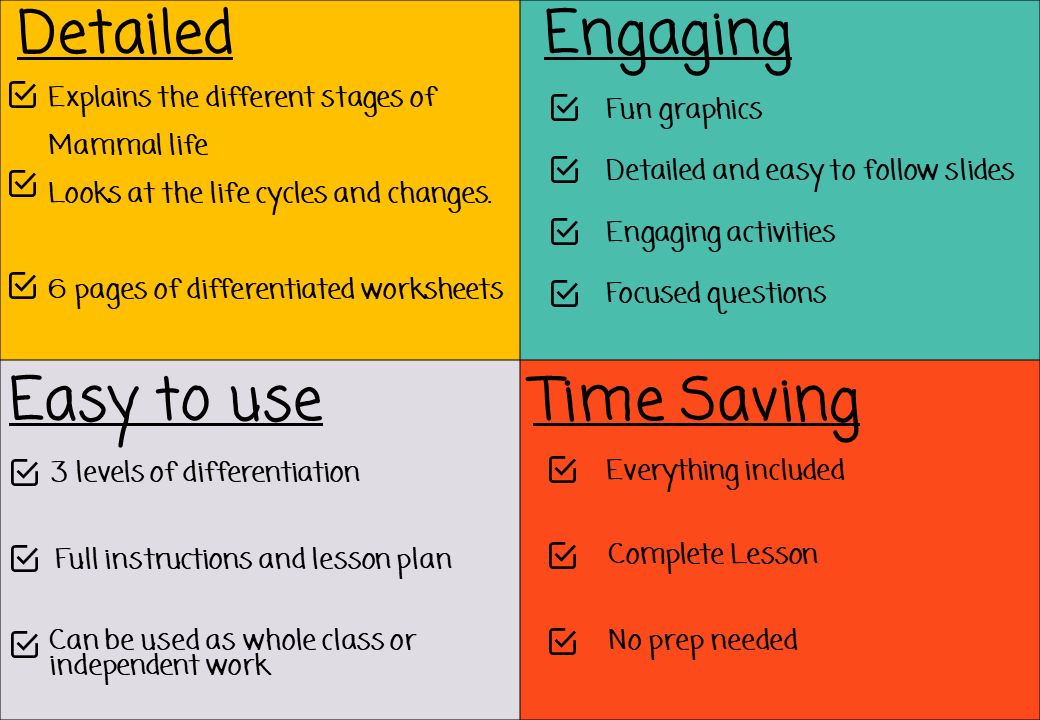 Mammal Life Cycles Lesson | Made By Teachers