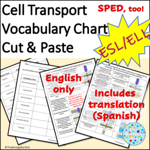 ESL Biology Cell Transport Vocabulary Cards | Made By Teachers