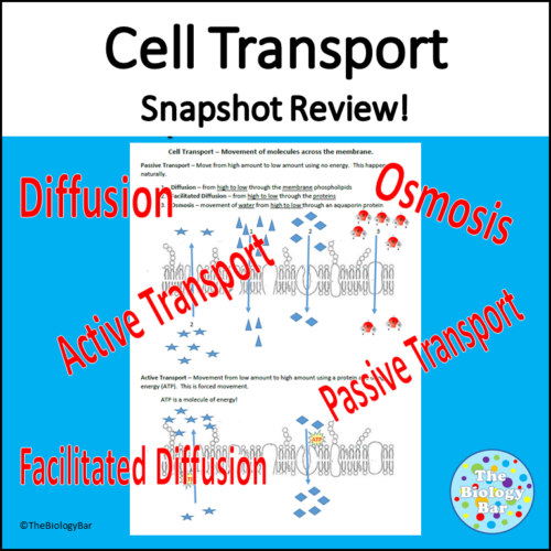 ESL Biology Cell Transport Unit Bundle | Made By Teachers