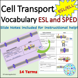 ESL Biology Cell Transport Vocabulary Notes | Made By Teachers