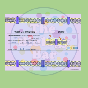 ESL Biology Cell Transport Vocabulary Notes | Made By Teachers