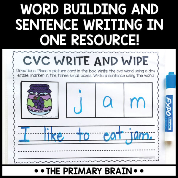 CVC Word Write and Wipe Activities | Made By Teachers