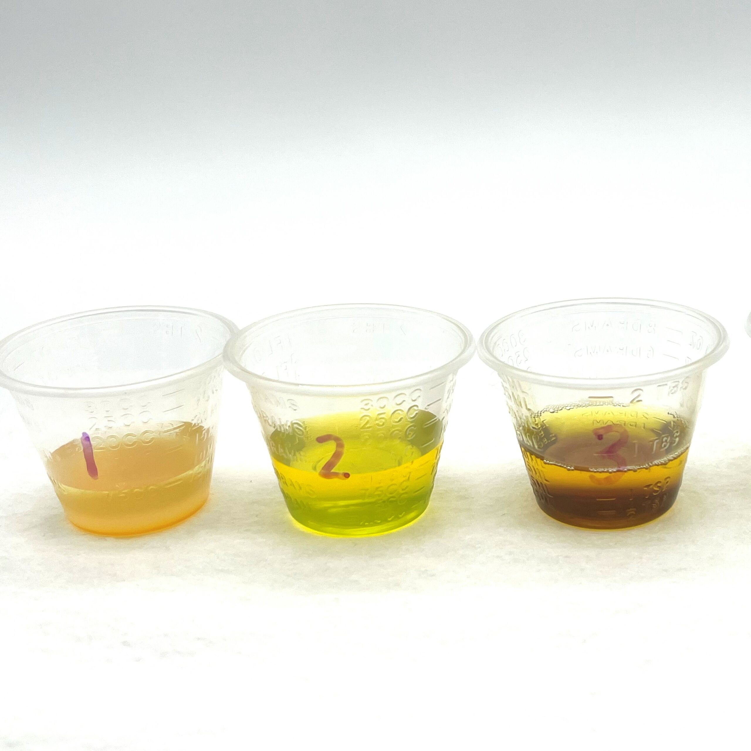 Forensic Science Urinalysis Crime Scene Investigation | Made By Teachers Forensic Science Urinalysis Crime Scene Investigation | Made By Teachers
