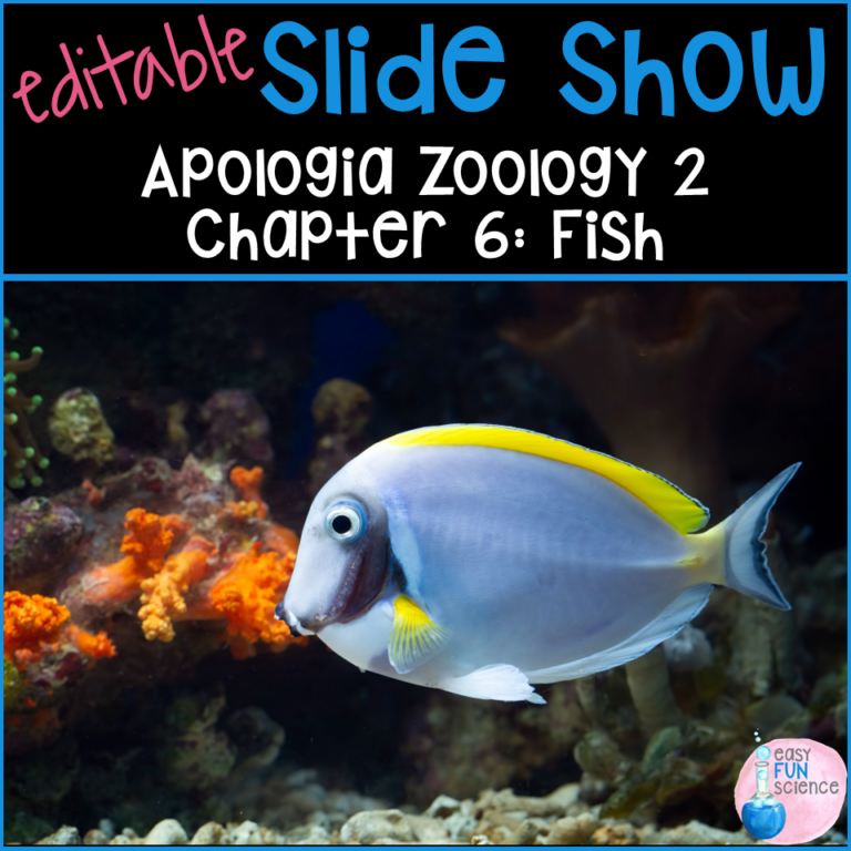 Apologia Zoology 2 Swimming Creatures Chapter 6 Fish EDITABLE | Made By ...