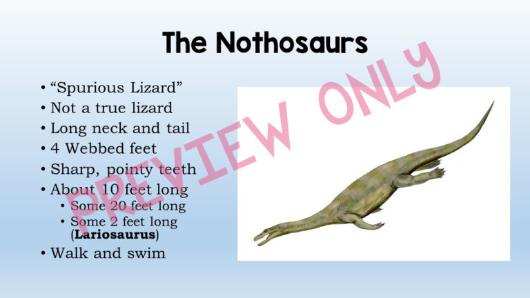 Apologia Zoology 2 Swimming Creatures Ch 5 Primeval Reptiles Slideshow ...