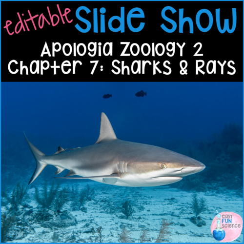 Apologia Zoology 2 Swimming Creatures Ch 7 Sharks & Rays Slideshow ...