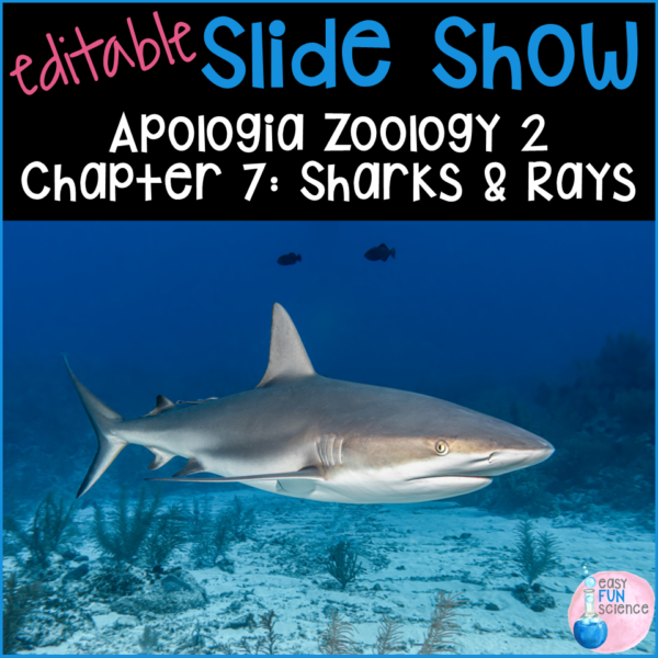 Apologia Zoology 2 Swimming Creatures Ch 7 Sharks & Rays Slideshow ...