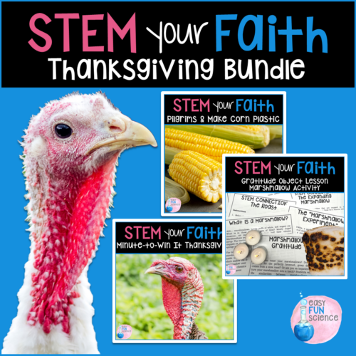 Easy Fun Science | Made By Teachers