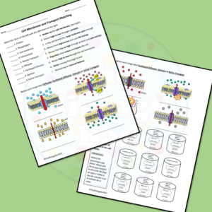 ESL Biology Cell Transport Worksheet | Made By Teachers