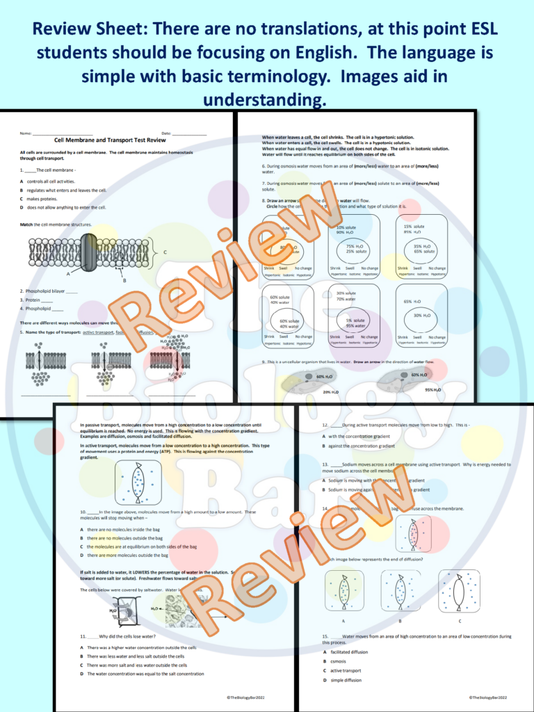 ESL Biology Cell Transport Review and Test - Made By Teachers