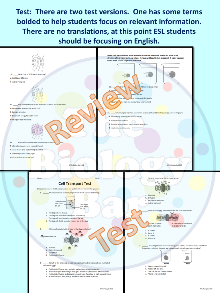 ESL Biology Cell Transport Review and Test | Made By Teachers