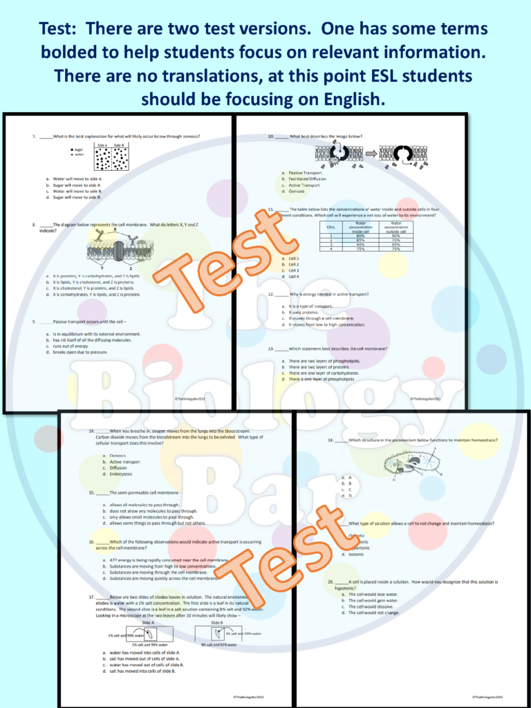 ESL Biology Cell Transport Review and Test - Made By Teachers