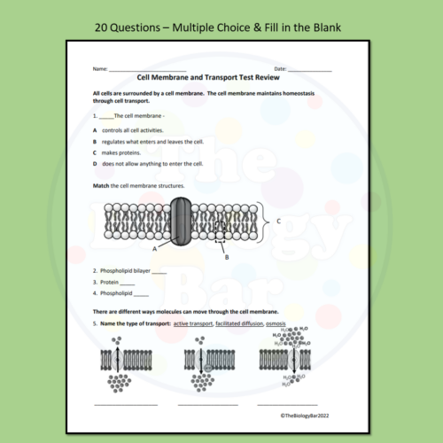 ESL Biology Cell Transport Review and Test | Made By Teachers