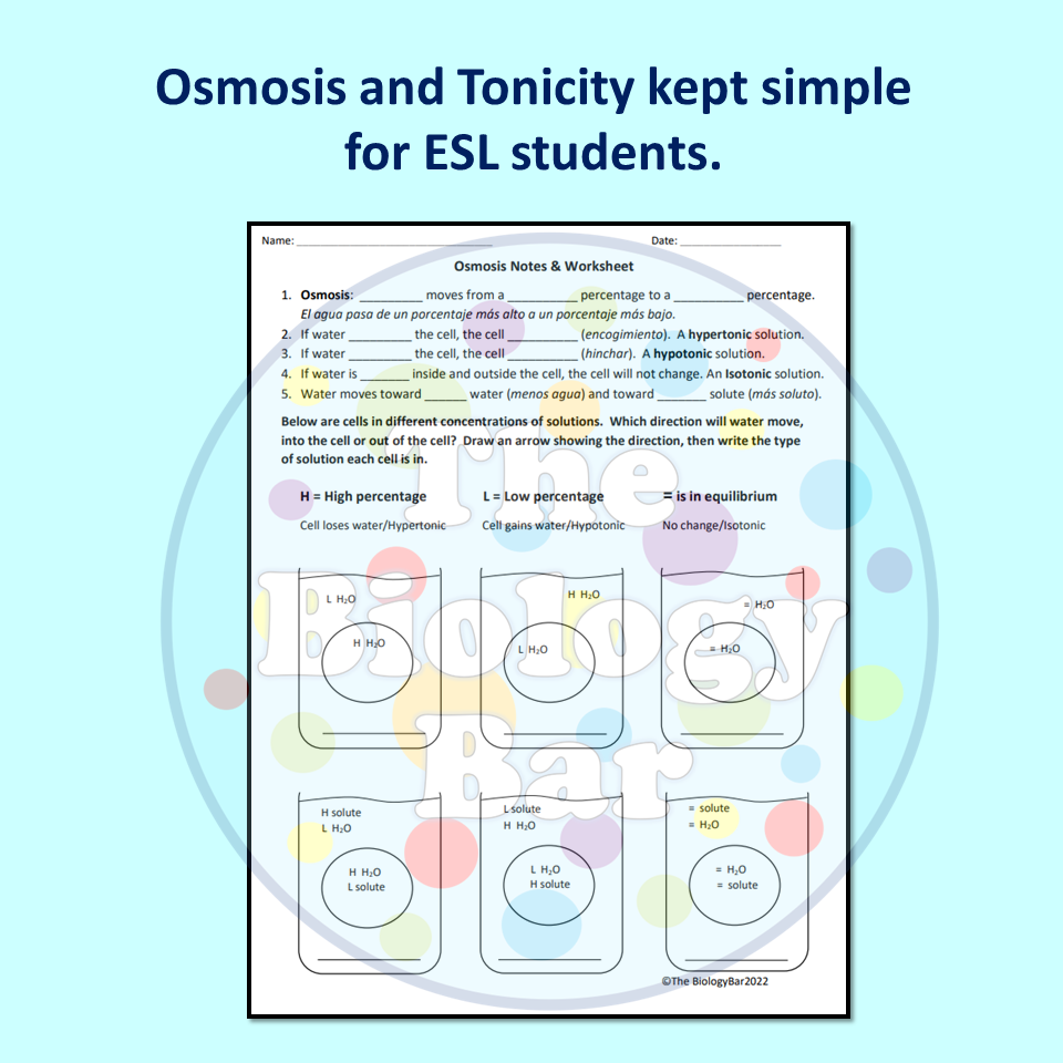 ESL Biology Osmosis | Made By Teachers