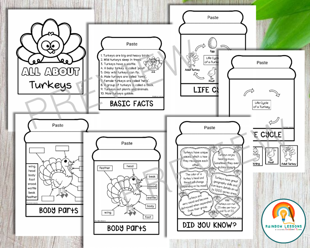 All About Turkeys Flipbook | Turkey Facts Booklet | Turkey Craftivity ...