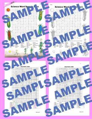 Science Word Search: Corn | Made By Teachers