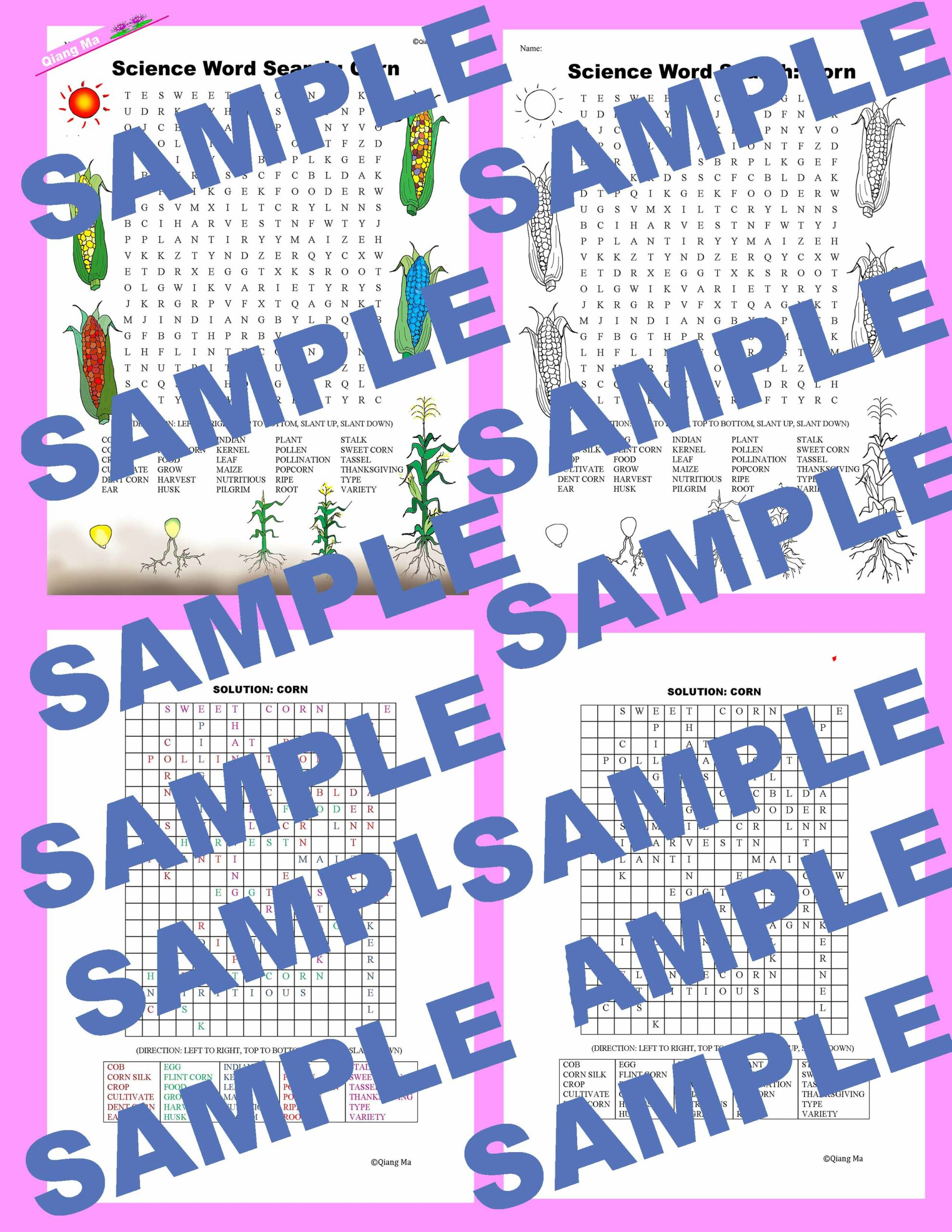 Science Word Search: Corn | Made By Teachers